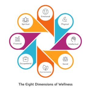 The Wellness Wheel: What You Need to Know