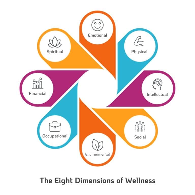The Wellness Wheel: What You Need to Know