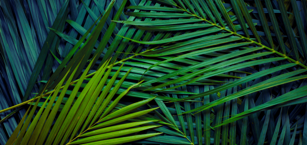 Our Team | Clearview Treatment Programs